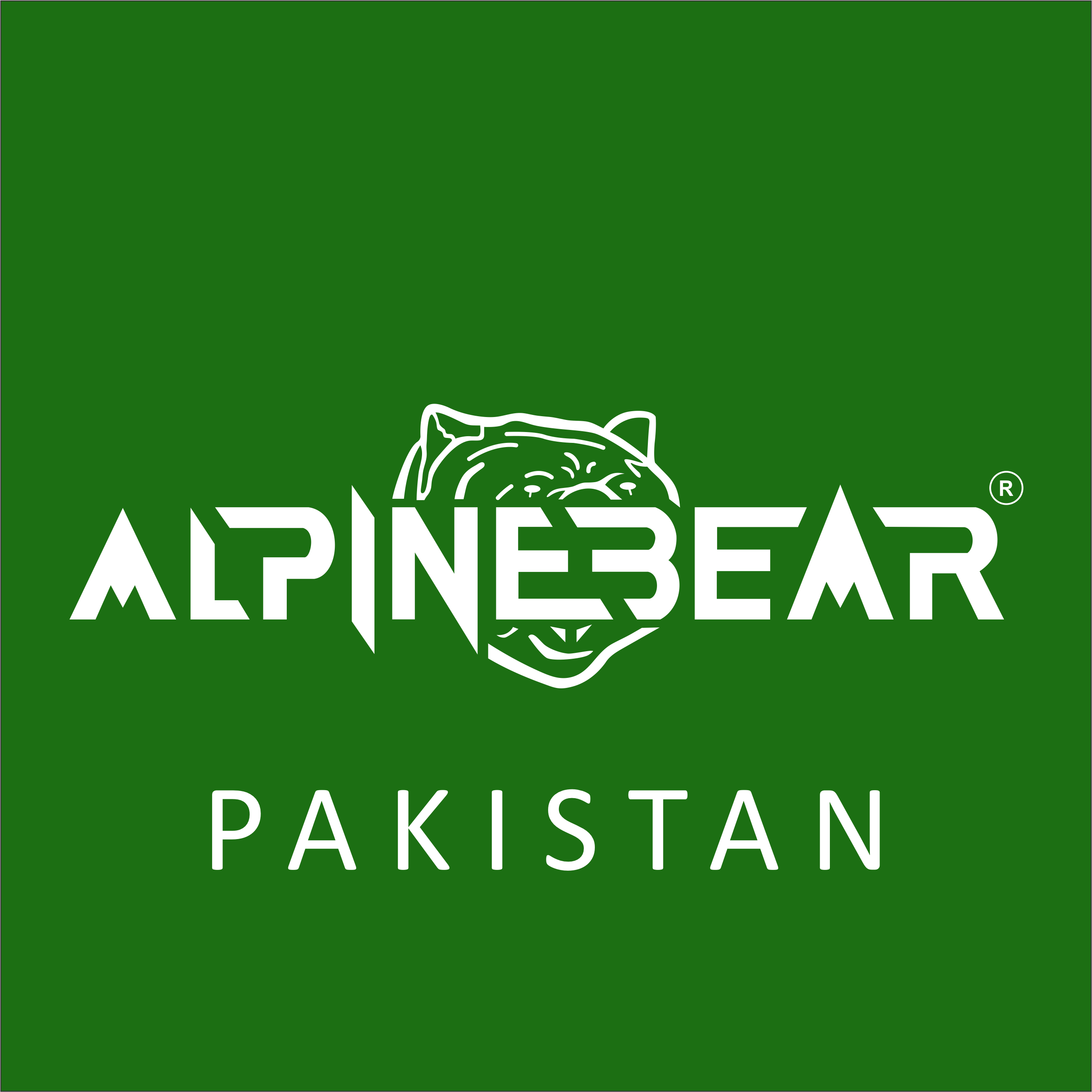 Best Bags in Pakistan - Enjoy Alpinebear Pakistan's Official Warranty